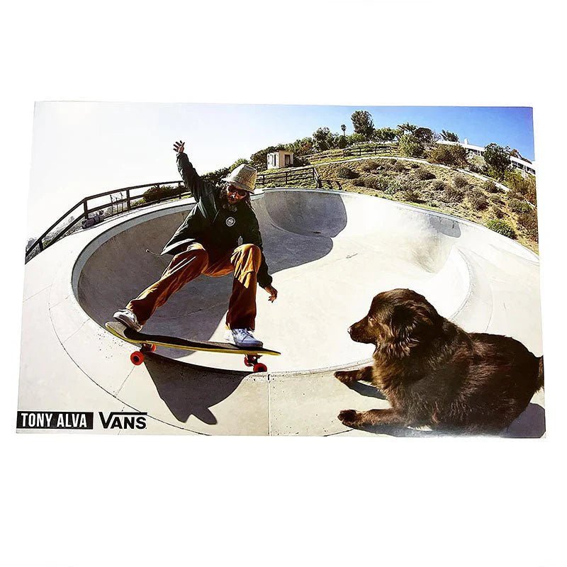 Alva Posters - Iconic Skate Art for Collectors – 5150 Skate Shop